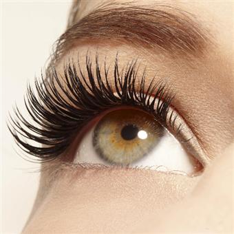 Lash Factor Studio - Tucson AZ | Vagaro